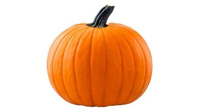 Pumpkin varieties: types of pumpkin & squash | Kikkoman