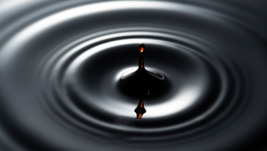 light vs. dark soy sauce | Kikkoman